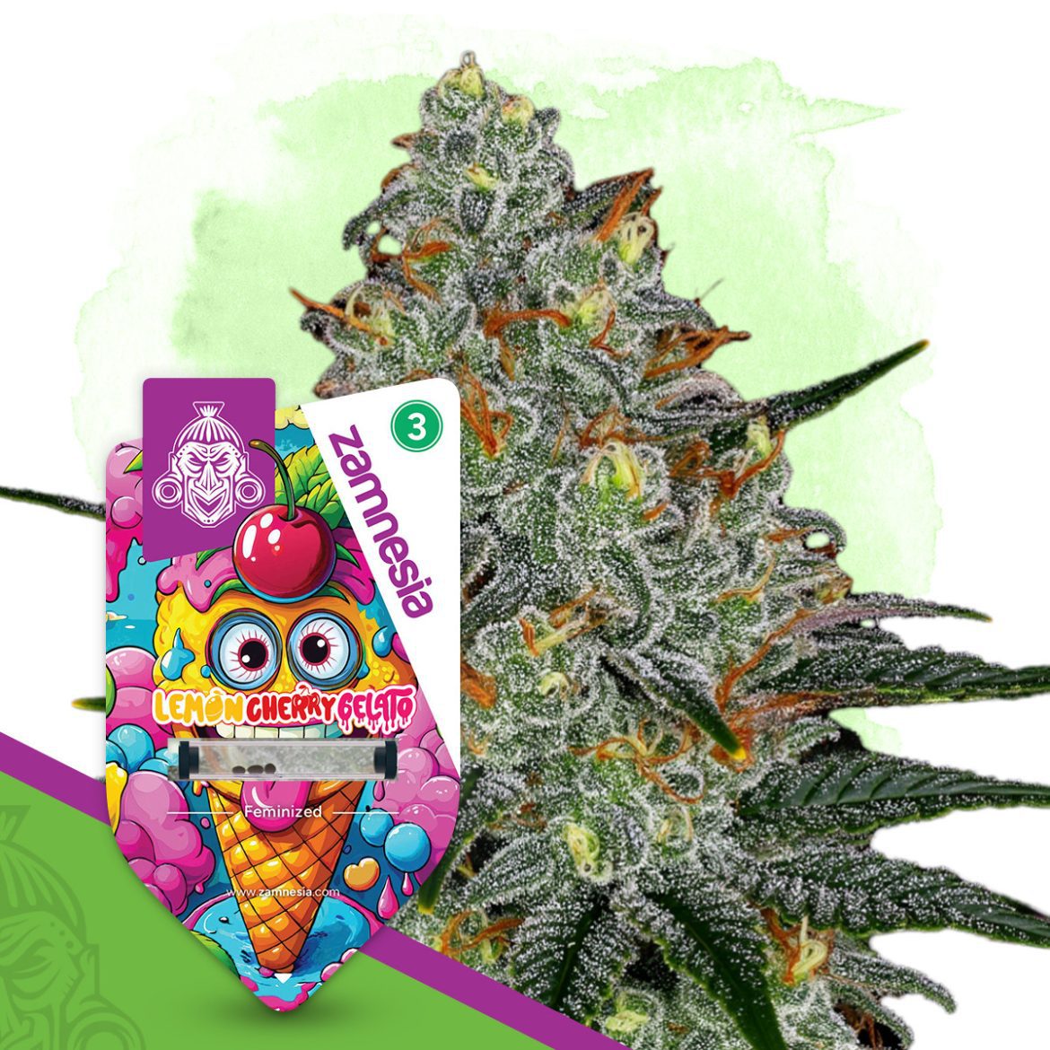 Relatório aponta falhas na regulação de embalagens e nomes de cepas na ...