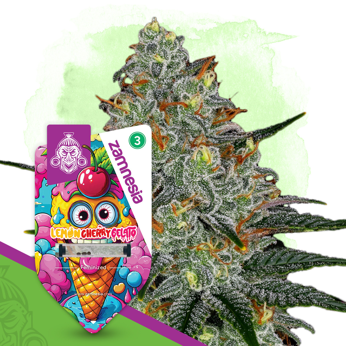 Relatório aponta falhas na regulação de embalagens e nomes de cepas na ...