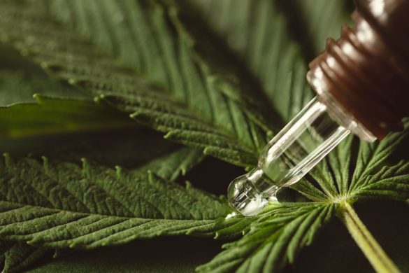 Santa Maria pode regulamentar cannabis medicinal após apreensão da ...