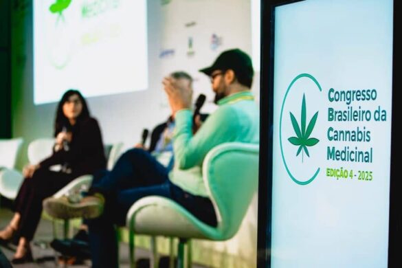 Santa Maria pode regulamentar cannabis medicinal após apreensão da ...